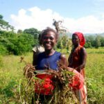 La inmigración de negros norteamericanos en Samaná - Revista GLOBAL